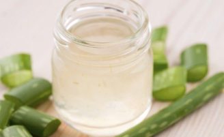 Babosa: conheça seus inúmeros benefícios à saúde e à beleza