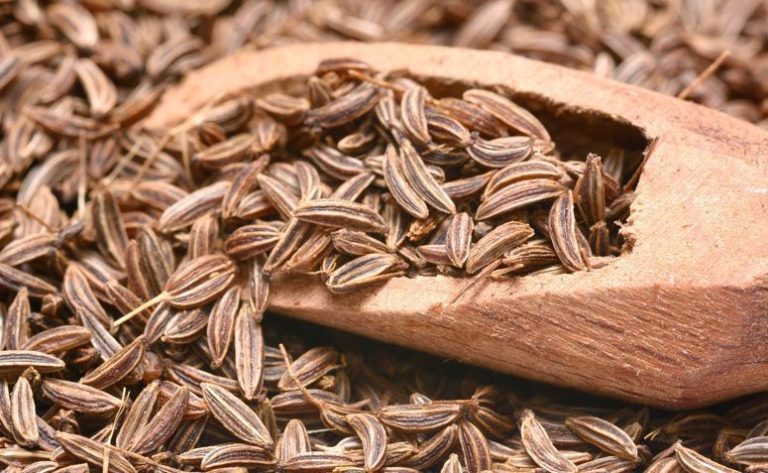 Cominho: mais sabor para os seus pratos e benefícios para a sua saúde