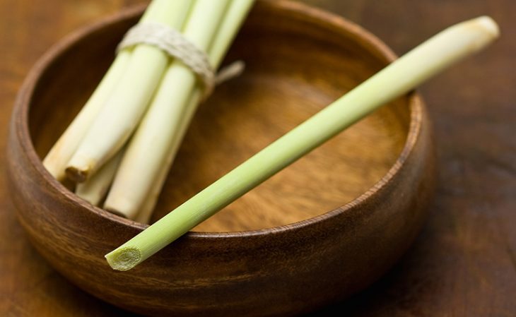 25 benefícios do capim-limão que mudarão sua vida