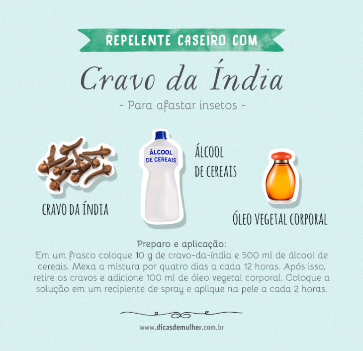 Repelentes Caseiros 5 Receitas Naturais E Poderosas