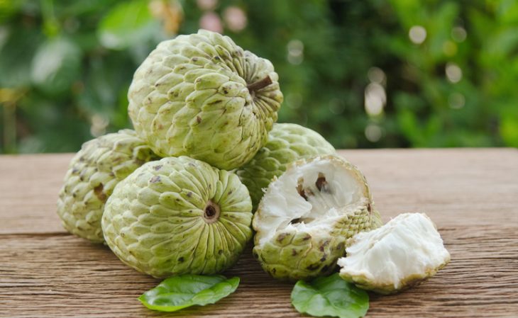 Pinha: tipos, benefícios, e receitas incríveis com a fruta