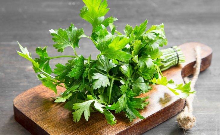 Coentro: nutricionista explica como usar, benefícios, receitas e malefícios
