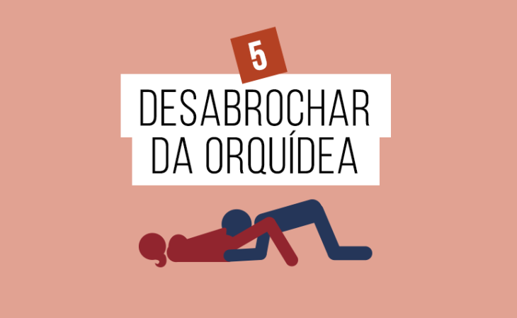 Kama Sutra 12 Posições Para Chegar Ao ápice Do Prazer Feminino