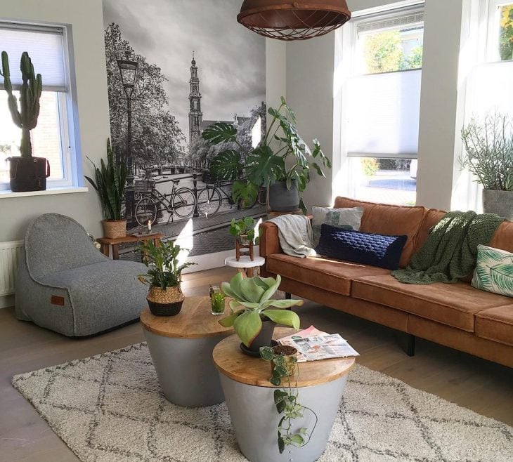 Plantas para sala: as melhores espécies e 65 inspirações