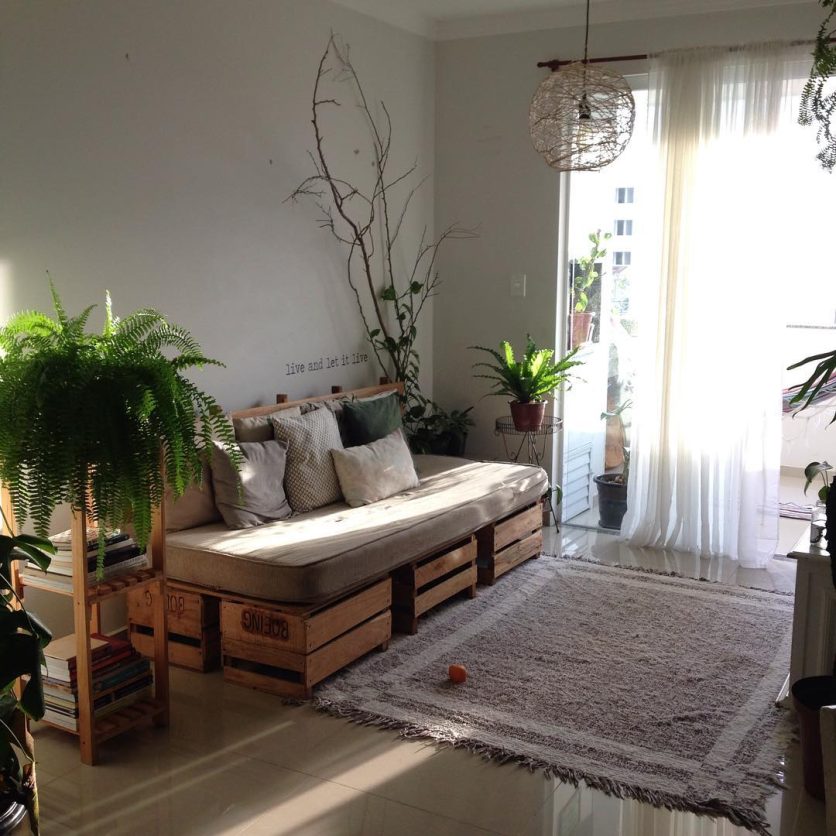 Samambaia: 70 ideias de decoração e como cuidar adequadamente