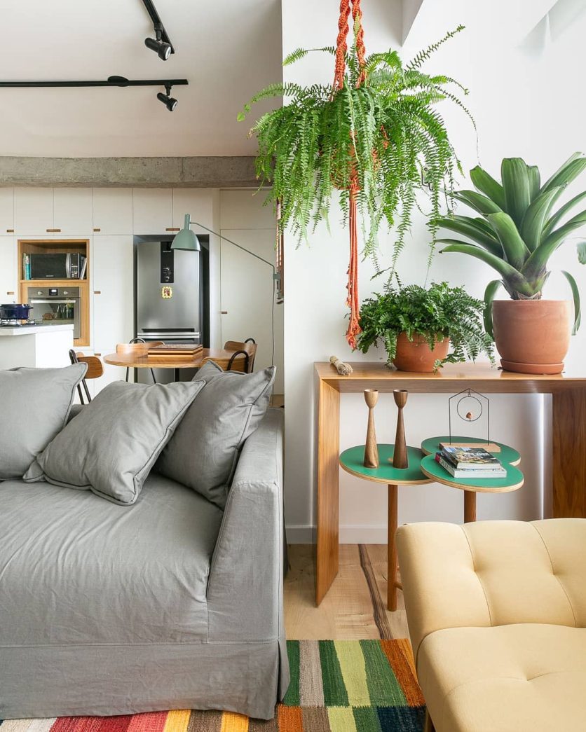 Samambaia: 70 ideias de decoração e como cuidar adequadamente