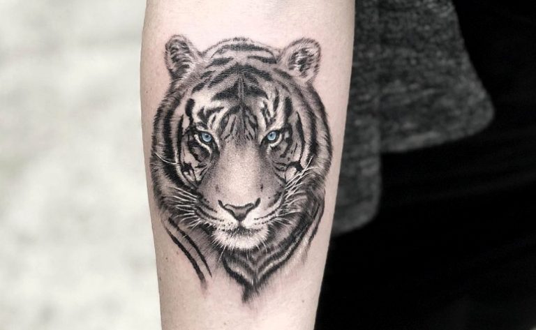 Blog da Sofia: Tatuagem de tigre feminina: 70 ideias incríveis para despertar a coragem