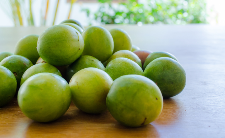 5 benefícios do embu para incluir na sua alimentação