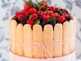 Embu: conheça os benefícios e as melhores receitas com essa fruta