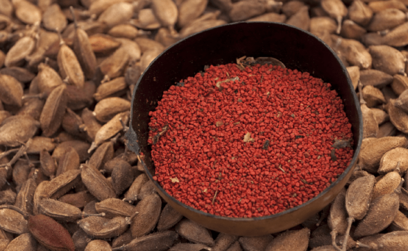 Urucum: 5 benefícios e como utilizar essa planta na alimentação