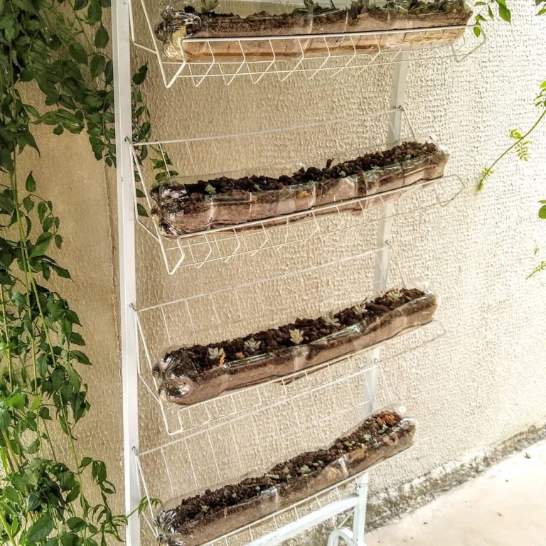 Horta no quintal: como fazer + 50 ideias para criar a sua [FOTOS]