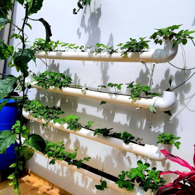 Horta no quintal: como fazer + 50 ideias para criar a sua [FOTOS]