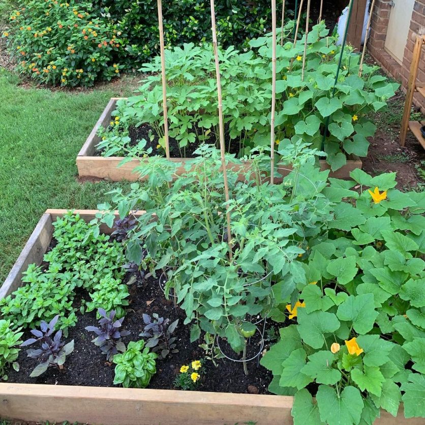 Horta no quintal: como fazer + 50 ideias para criar a sua [FOTOS]