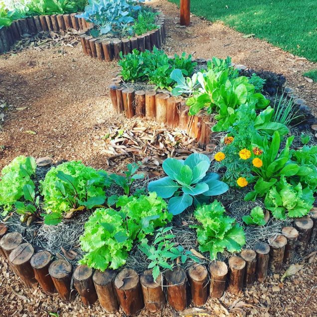 Horta no quintal: como fazer + 50 ideias para criar a sua [FOTOS]