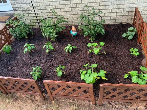 Horta no quintal: como fazer + 50 ideias para criar a sua [FOTOS]