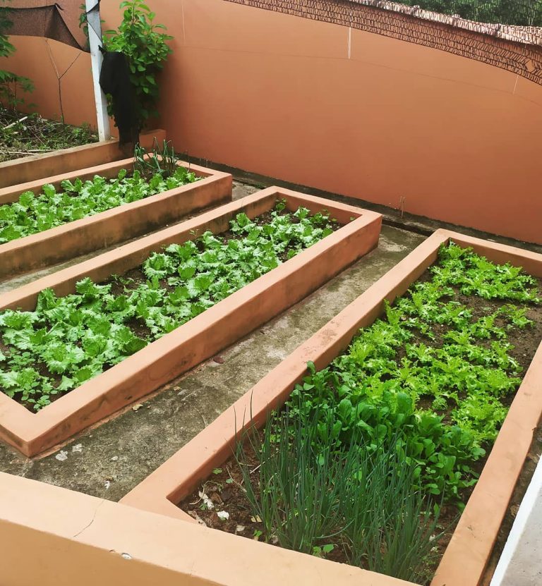 Horta no quintal: como fazer + 50 ideias para criar a sua [FOTOS]