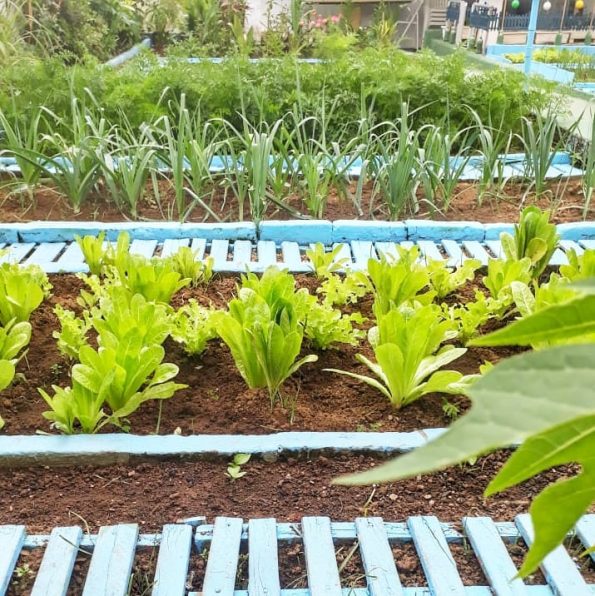 Horta no quintal: como fazer + 50 ideias para criar a sua [FOTOS]