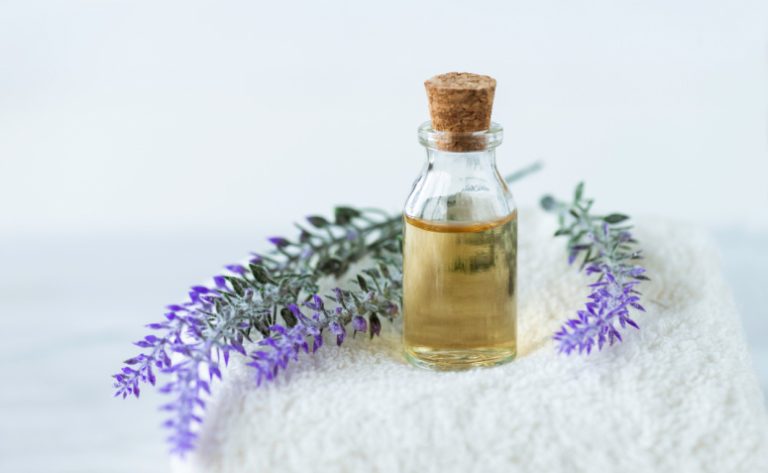 Lavanda: benefícios, como usar e dicas para cultivá-la em casa