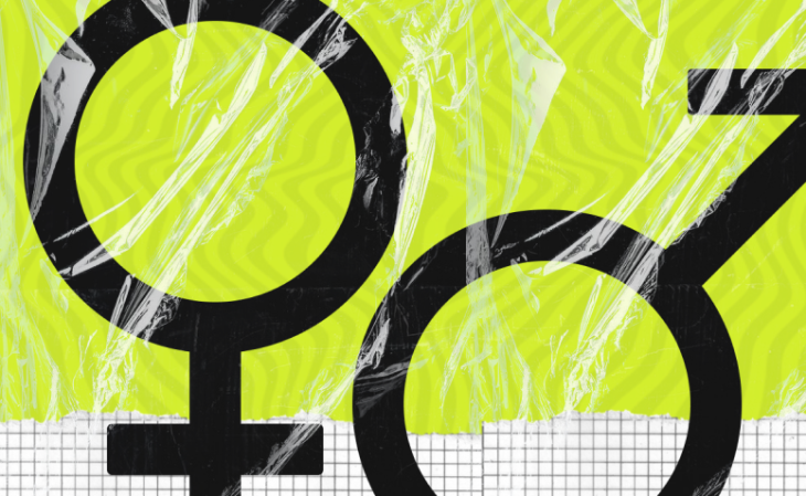 Mulheres na política do Brasil: história, desafios e conquistas